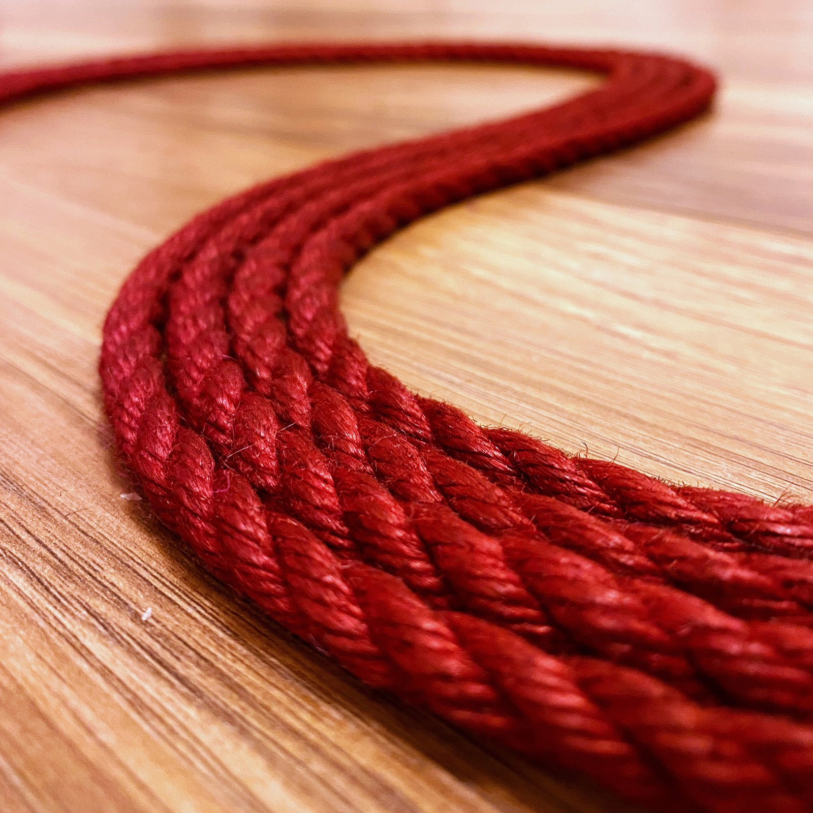 Teaching & Selling Rope - Karada House